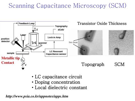 Ppt Interactions Between Sample And Tip In Force Microscopy Powerpoint Presentation Id 3411528