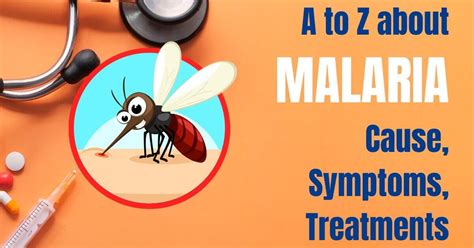 Top 5 Natural Treatments Of Malaria Can Be Effective
