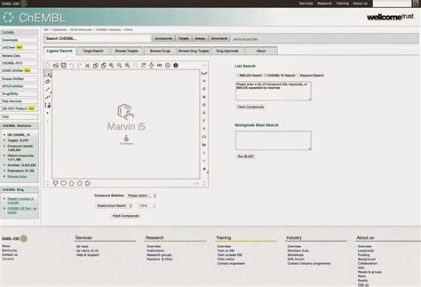 Citing Chembl And Data Dois
