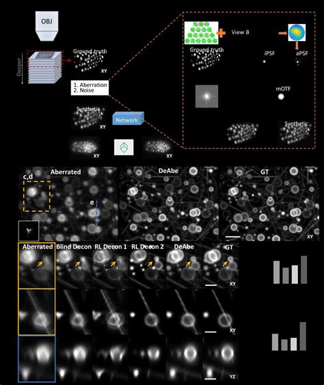 Concept And Simulations Illustrating Deep Learning Based Aberration