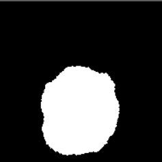 Samples Of Images Before And After Pre Processing Download Scientific Diagram