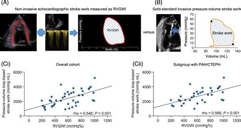 Measurement Of Right Ventricular RV Stroke Work A Download Scientific Diagram