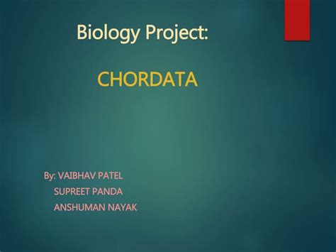 Classification Of Non Chordata Invetebrate Pptx