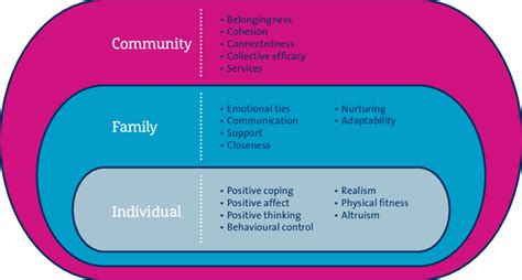 1 Socio Ecological Model For Locating Resilience Factors Download