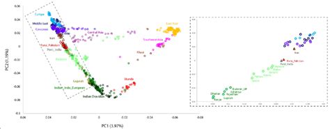 Principal Component Analysis Of The Combined Autosomal Genotypic Data