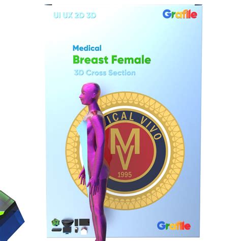 mv breast female medical anatomy 3d cross section 2d 3d resources
