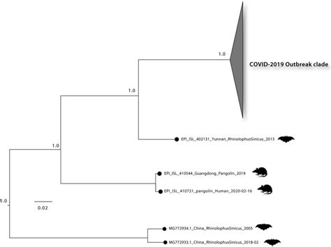 Evolution Patterns Of Sars Cov 2 Snapshot On Its Genome Variants