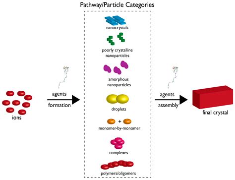 Polymorphs Proteins And Nucleation Theory A Critical Analysis