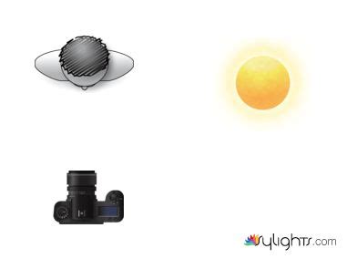 6 Portrait Lighting Patterns Every Photographer Should Know