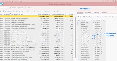 Tutorial How To Create Custom Pivb Alv Report Based On A Cds With