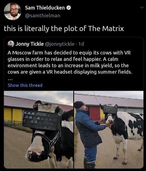 Cows Using Vr Album On Imgur