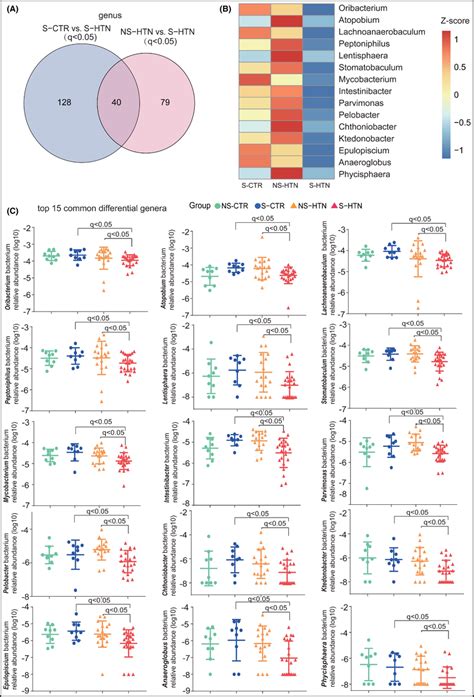 Genera Significantly Different Between S‐htn And S‐ctr And Between Download Scientific Diagram