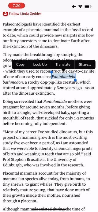 Bug Why Does Look Up On IOS Briefly Flash And Image Ask Different