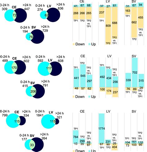Differentially Expressed Genes Degs In Stroke Etiologies Venn