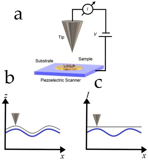 scanning tunneling microscope magnification
