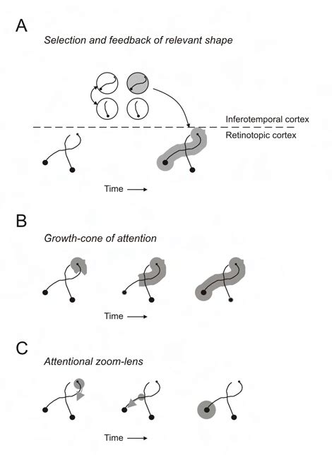 Three Models For The Dynamics Of Attention Shifts When Different Parts