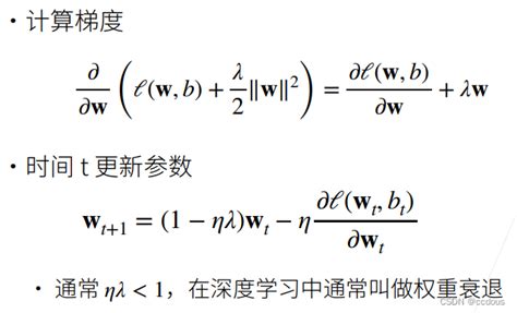 权重衰退及代码 负值越小的权重的函数越大 csdn博客