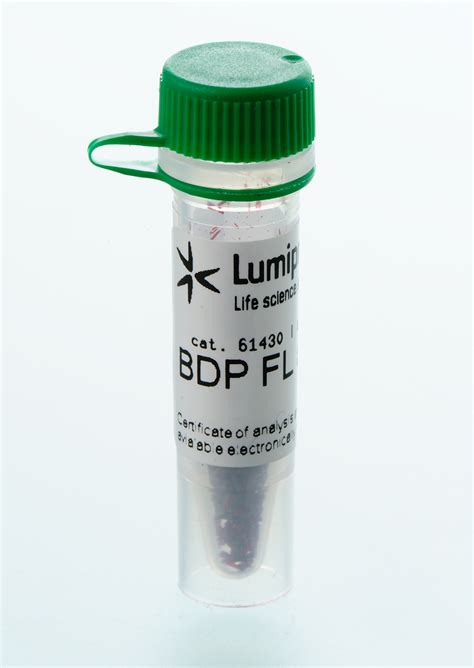 Bdp® Fl Azide Cas 1379771 95 5 2243566 18 7