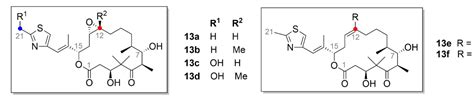 Chemical Structures Of Epothilones Epothilones Figure 14