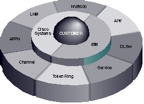 IBM Internetworking Cisco