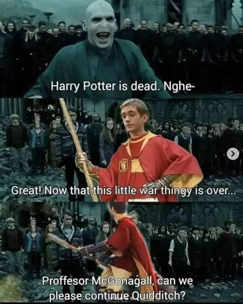 100 Harry Potter Memes That Will Make You Laugh Out Loud