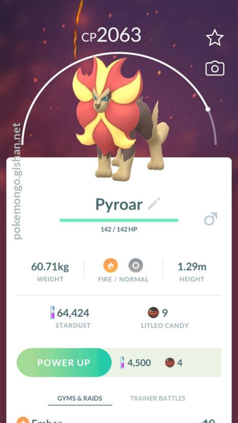 Pyroar Pokemon