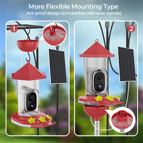 Smart Bird Camera Hummingbird Feeder蜂鸟喂食器ai喂鸟带太阳能 阿里巴巴