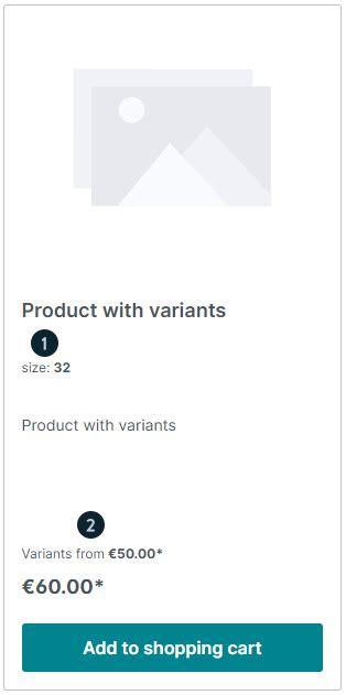 Shopware 6 Tutorials And Faq Product Display In Categories