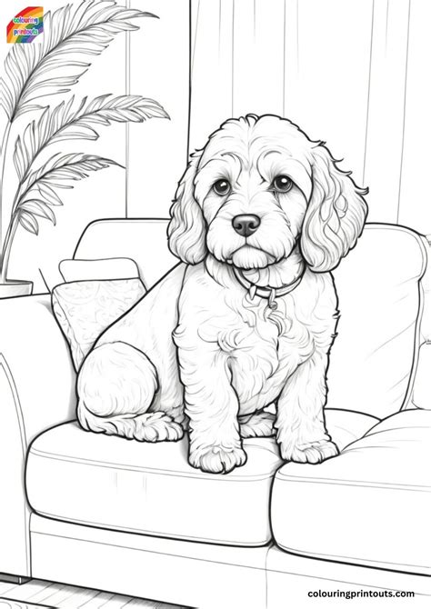 Cockapoo Colouring Pages Free Download
