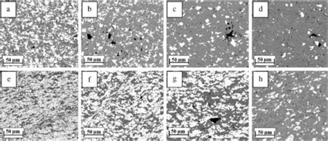 Microstructure Of WC Ni And WC 12Co Ni Powders Download Scientific Diagram