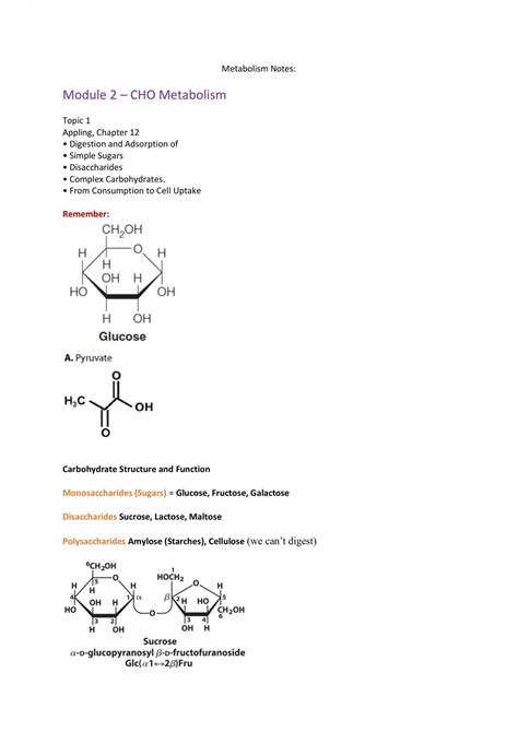 metabolism lecture notes 2011msc metabolism griffith thinkswap