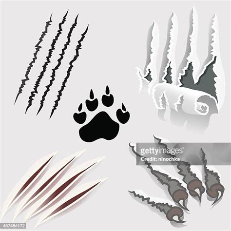 Claw Scratch Texture Photos And Premium High Res Pictures Getty Images
