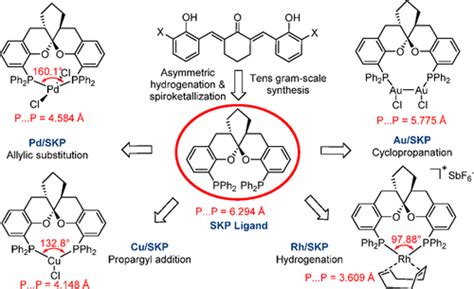 A Type Of Structurally Adaptable Aromatic Spiroketal Based Chiral