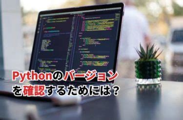 Pythonのバージョンを確認できない原因と解決策を解説 BIZ ROADビズロード
