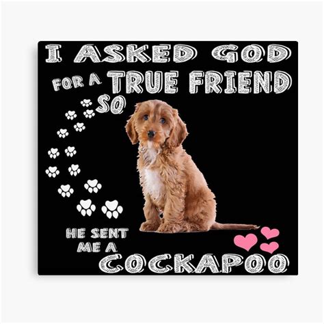 Cockapoo Canvas Prints Redbubble