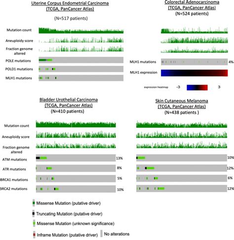 Genomic And Transcriptomic Meta Analysis Of Different Solid Tumors