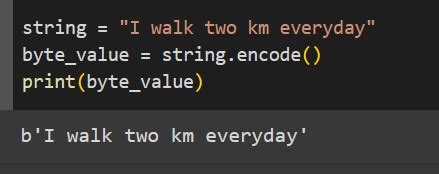 How To Convert String To Byte Array Python