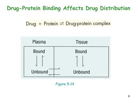Ppt Drug Protein Binding Powerpoint Presentation Free Download Id 3200802