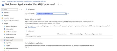 configure app attributes in entra id access token app claims mapping
