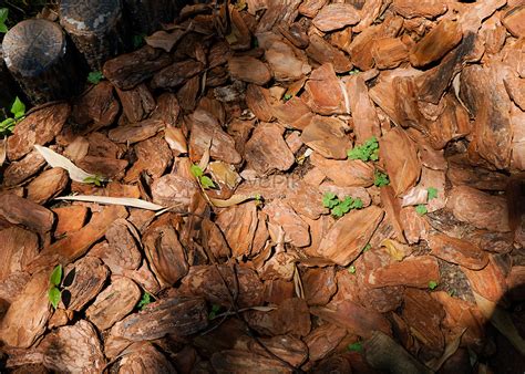 자연스러운 질감 사진 무료 다운로드 Lovepik