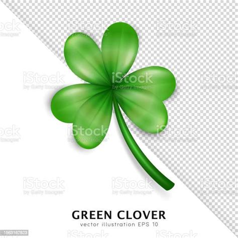 사실적인 녹색 클로버 투명한 배경에 격리된 아일랜드 상징으로 트레포일 0명에 대한 스톡 벡터 아트 및 기타 이미지 0명 3차원 형태 St Patricks Day