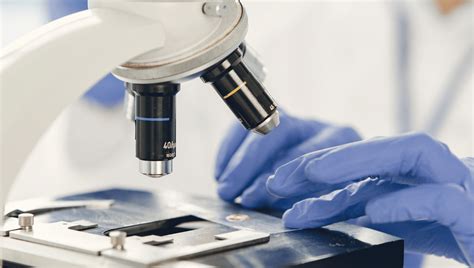Tissue Microarrays Tmas Applications In Tumour Biology