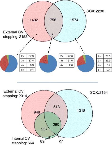 Top Peptide Identifications Resulting From Cid Msms With The External