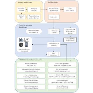 Samples Collection Processing Storage And Shipment Workflow Consent Download Scientific