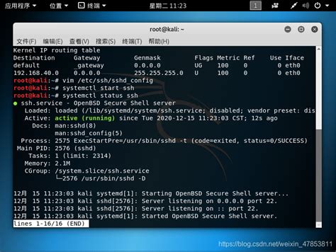Kali Linux虚拟机配置ssh连接shellkali虚拟机 Shell连接 Csdn博客