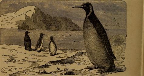 List Of Articles About Open Source Community