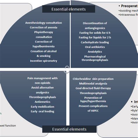Essential And Non Essential Elements In The Working Protocol For