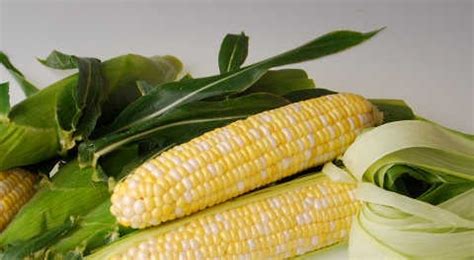 Must Have Sweet Corn Varieties Growing Produce