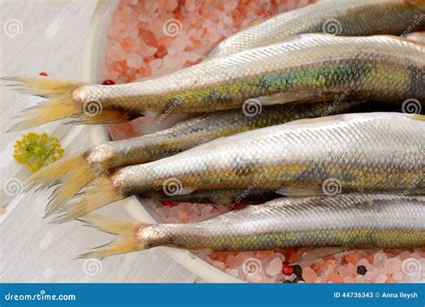 Fresh Smelt On With Lemon Stock Image Image Of Meal 44736343
