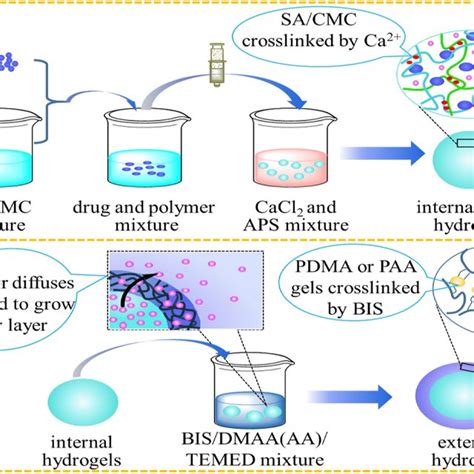 Pdf A Double Layer Hydrogel Based On Alginate Carboxymethyl Cellulose And Synthetic Polymer As